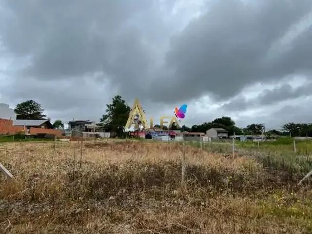 Terreno / Lote para Venda em Balneário Piçarras/SC Itacolomi