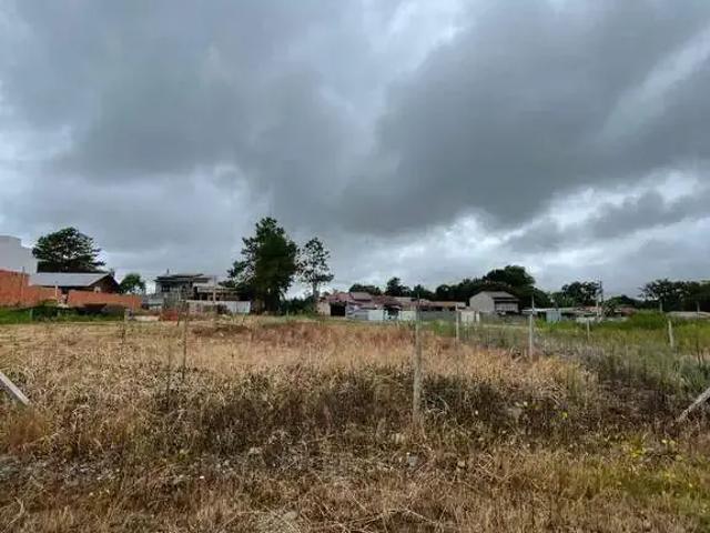 Terreno / Lote para Venda em Balneário Piçarras/SC Itacolomi