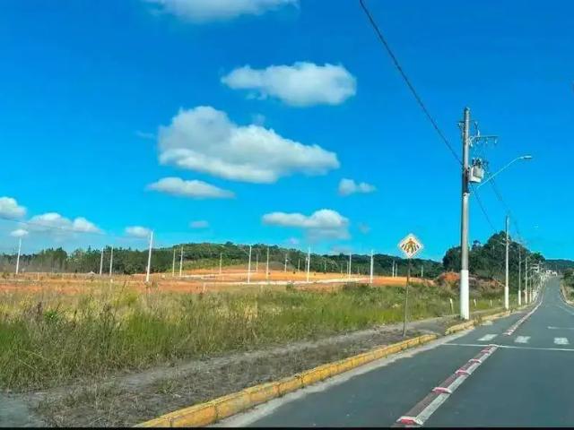 Terreno / Lote para Venda em Balneário Piçarras/SC Nossa Senhora da Conceição