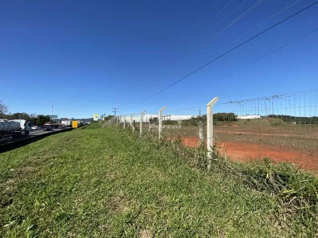 Terreno / Lote para Venda em Balneário Piçarras/SC Nossa Senhora da Conceição