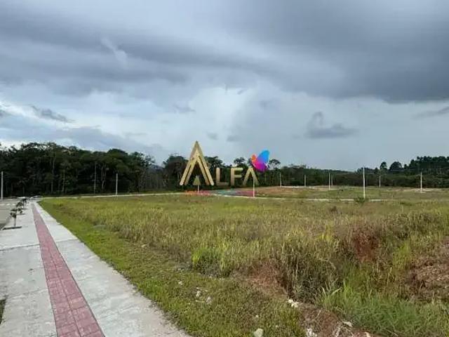 Terreno / Lote para Venda em Balneário Piçarras/SC Nossa Senhora da Conceição