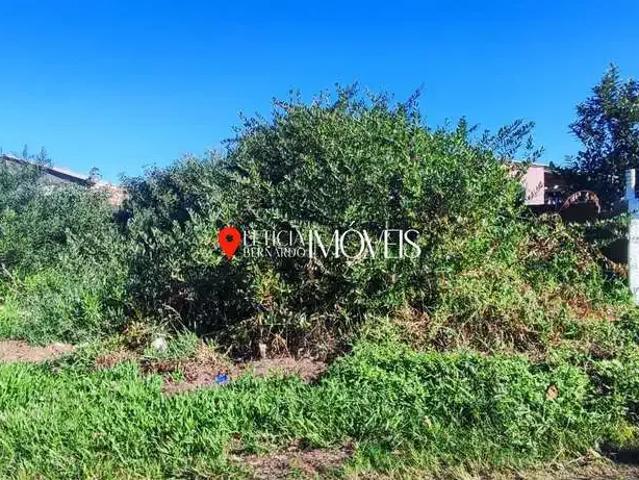 Terreno / Lote para Venda em Balneário Pinhal/RS Praia Do Magistério