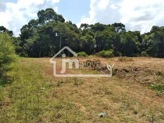 Terreno / Lote para Venda em Balsa Nova/PR Centro