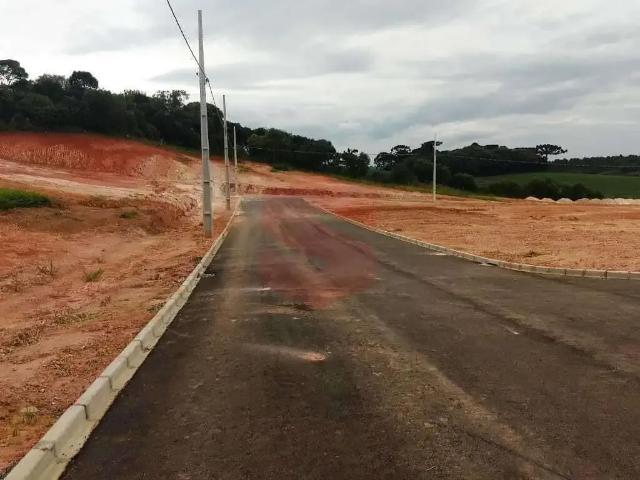 Terreno / Lote para Venda em Balsa Nova/PR Centro