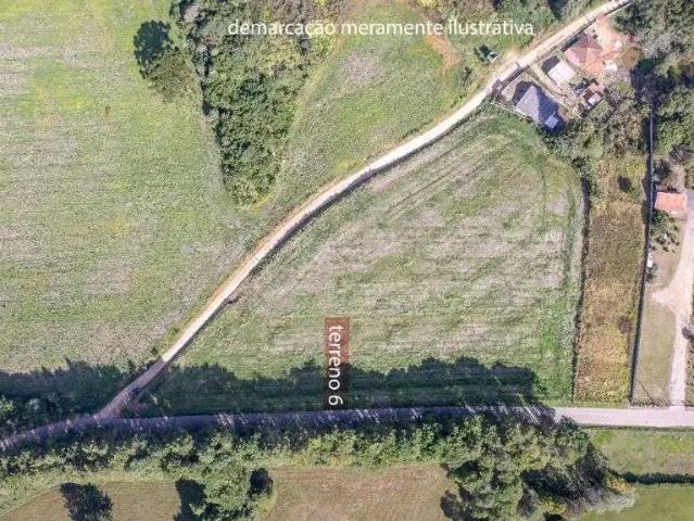 Terreno / Lote para Venda em Balsa Nova/PR Mineiros