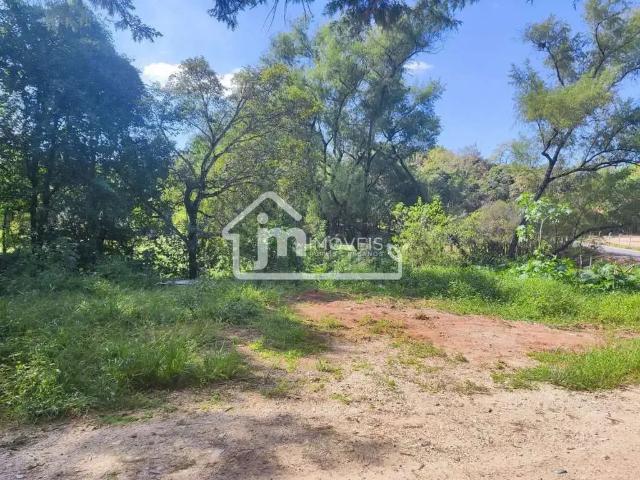 Terreno / Lote para Venda em Balsa Nova/PR Nova Serrinha