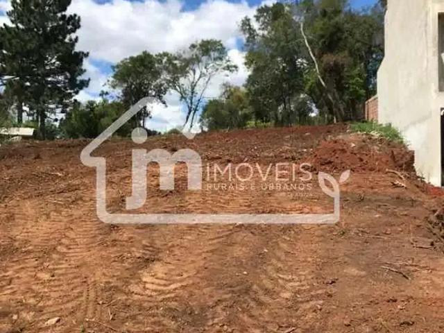 Terreno / Lote para Venda em Balsa Nova/PR São Caetano