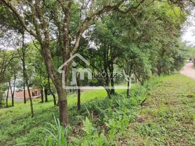 Terreno / Lote para Venda em Balsa Nova/PR São Caetano