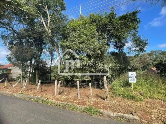 Terreno / Lote para Venda em Balsa Nova/PR São Caetano