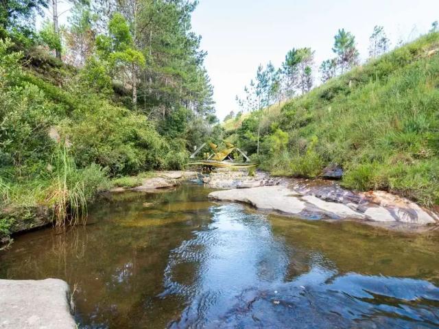 Terreno / Lote para Venda em Balsa Nova/PR São Luiz do Purunã