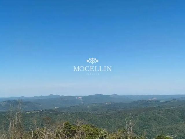 Terreno / Lote para Venda em Balsa Nova/PR São Luiz do Purunã