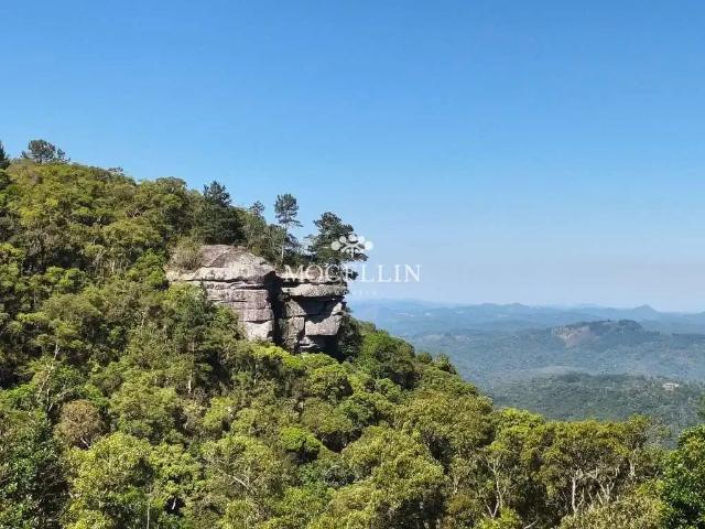 Terreno / Lote para Venda em Balsa Nova/PR São Luiz do Purunã