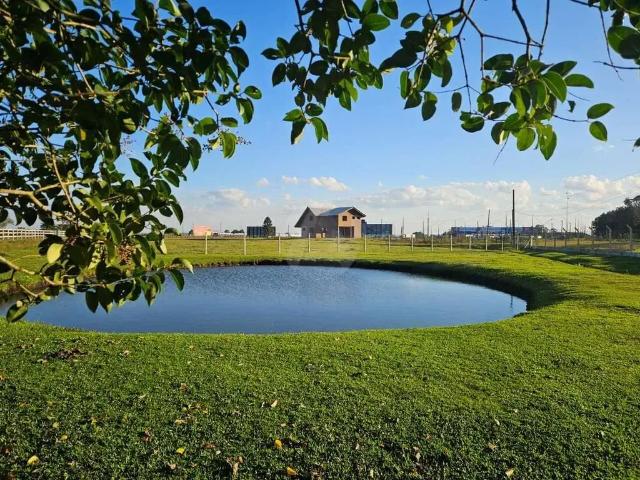 Terreno / Lote para Venda em Balsa Nova/PR São Luiz do Purunã