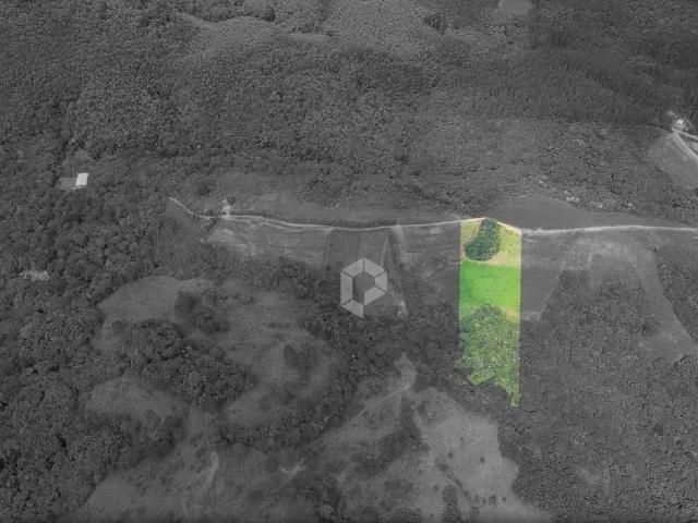 Terreno / Lote para Venda em Balsa Nova/PR São Luiz do Purunã