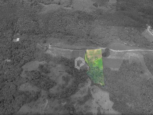 Terreno / Lote para Venda em Balsa Nova/PR São Luiz do Purunã