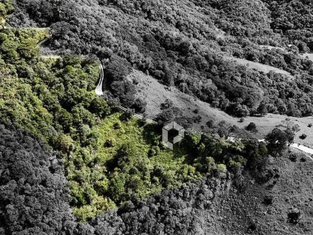 Terreno / Lote para Venda em Balsa Nova/PR São Luiz do Purunã