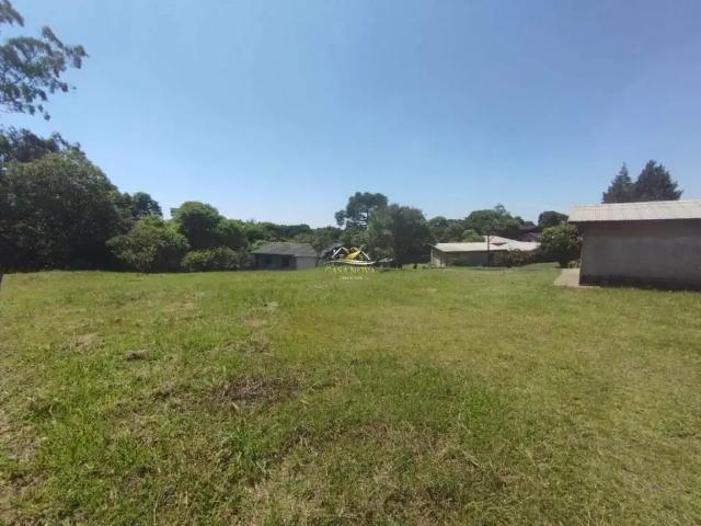 Terreno / Lote para Venda em Balsa Nova/PR São Luiz do Purunã