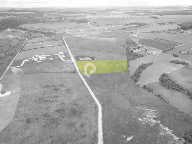 Terreno / Lote para Venda em Balsa Nova/PR São Luiz do Purunã