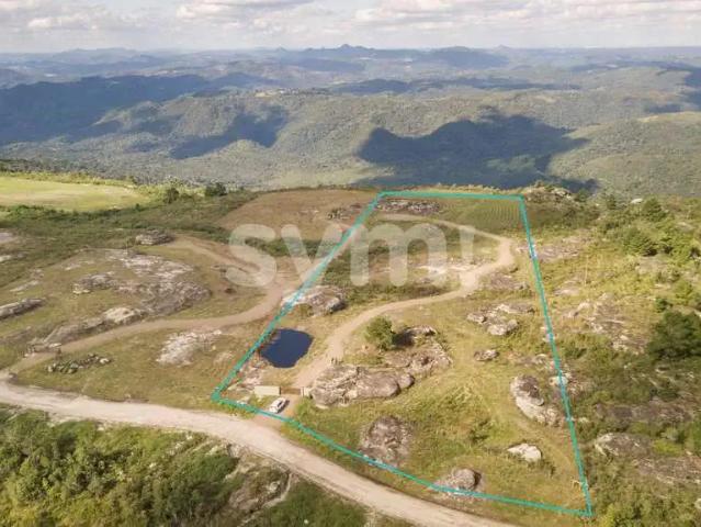 Terreno / Lote para Venda em Balsa Nova/PR São Luiz do Purunã