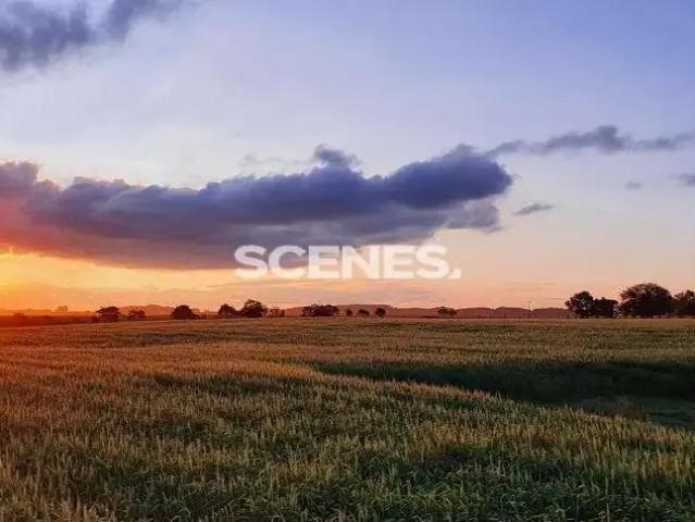 Terreno / Lote para Venda em Balsa Nova/PR São Luiz do Purunã
