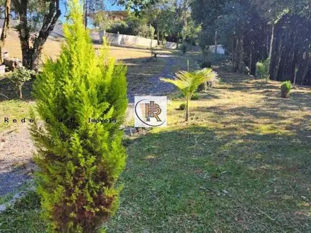 Terreno / Lote para Venda em Balsa Nova/PR São Luiz do Purunã