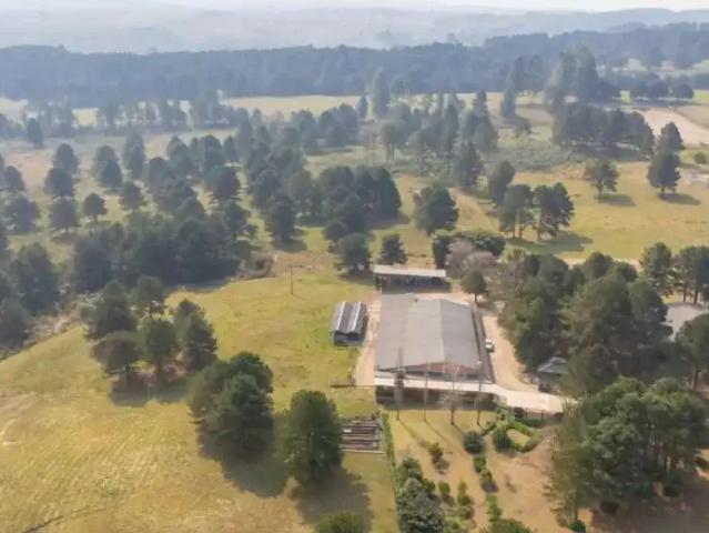Terreno / Lote para Venda em Balsa Nova/PR São Luiz do Purunã