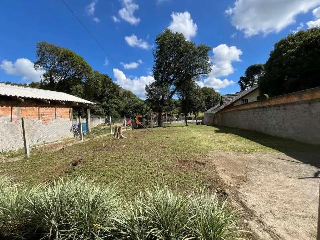 Terreno / Lote para Venda em Balsa Nova/PR Pessegueiro