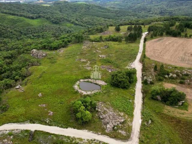 Terreno / Lote para Venda em Balsa Nova/PR Tamandua