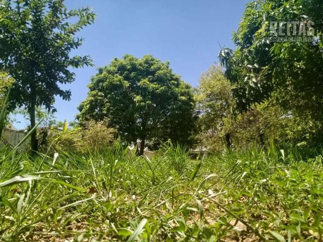 Terreno / Lote para Venda em Barueri/SP Alphaville