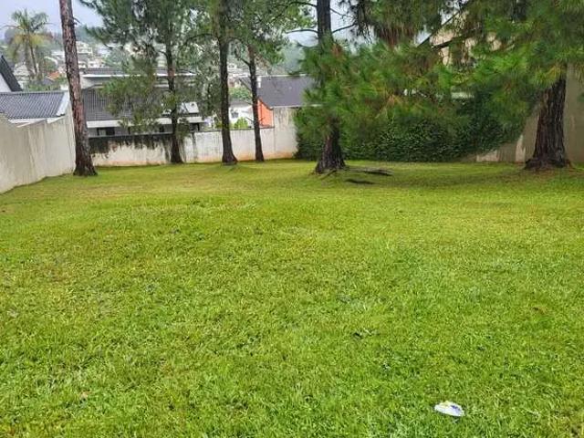 Terreno / Lote para Venda em Barueri/SP Alphaville Residencial Zero