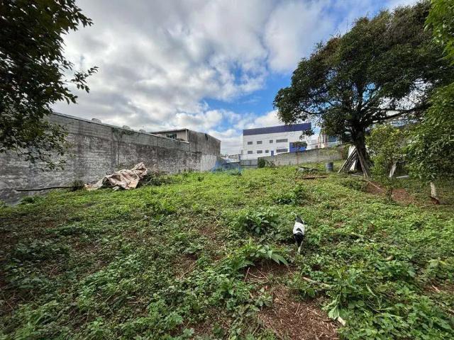 Terreno / Lote para Venda em Barueri/SP Jardim Califórnia