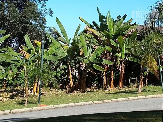 Terreno / Lote para Venda em Barueri/SP Residencial Tamboré