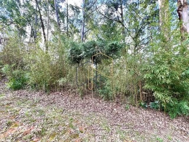 Terreno / Lote para Venda em Barueri/SP Tamboré