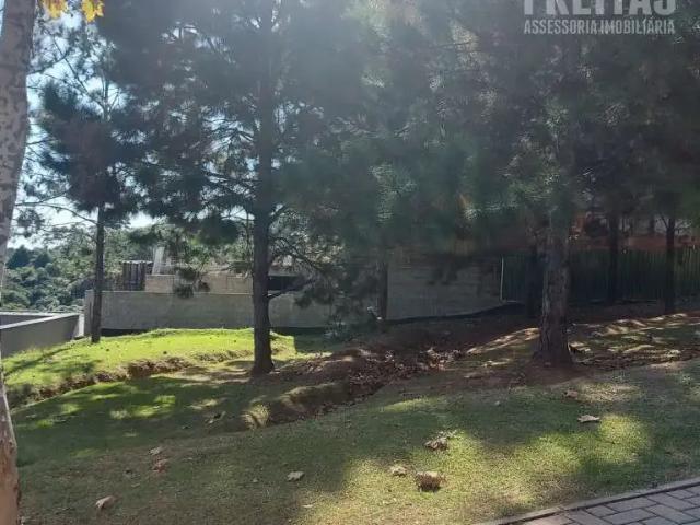 Terreno / Lote para Venda em Barueri/SP Tamboré