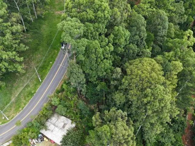 Terreno / Lote para Venda em Barueri/SP Tamboré