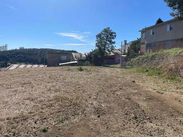 Terreno / Lote para Venda em Barão/RS Operário