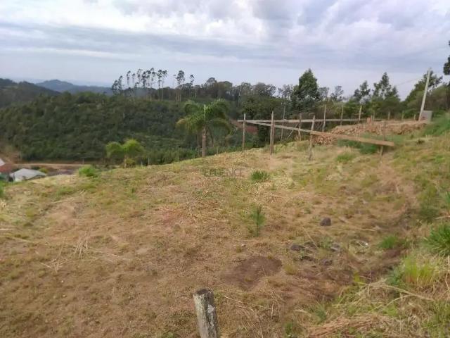 Terreno / Lote para Venda em Barão/RS Centro