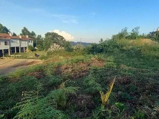 Terreno / Lote para Venda em Barão/RS Zona Rural