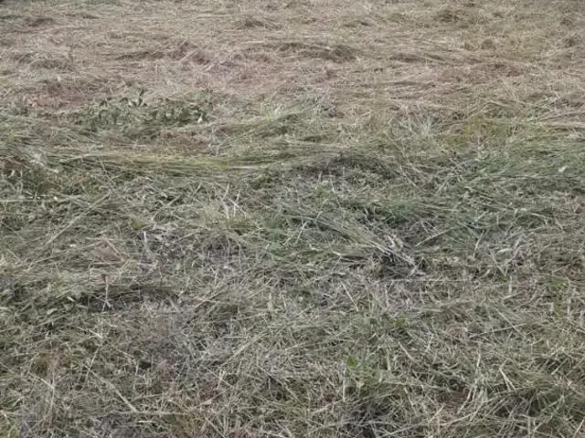 Terreno / Lote para Venda em Barra Velha/SC Centro