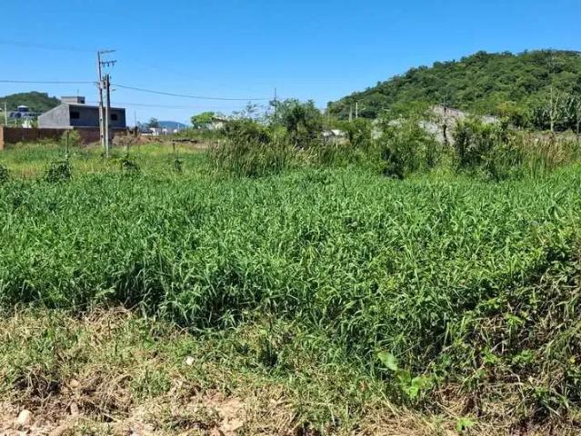 Terreno / Lote para Venda em Barra Velha/SC Itajubá