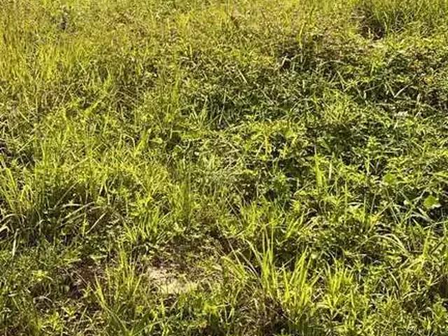 Terreno / Lote para Venda em Barra Velha/SC Itajubá