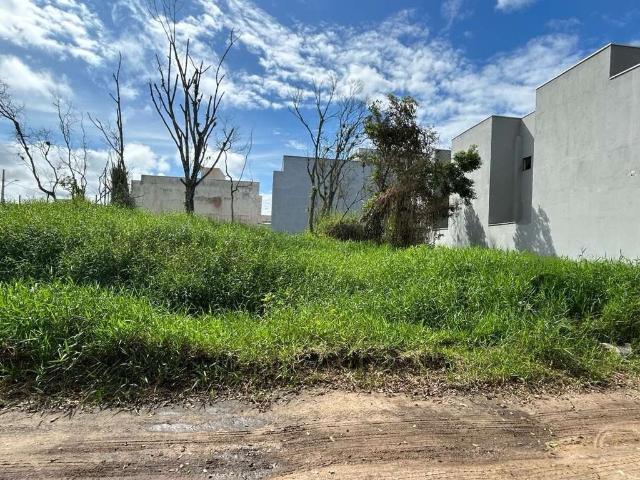 Terreno / Lote para Venda em Barra Velha/SC Itajubá