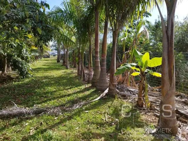 Terreno / Lote para Venda em Barra Velha/SC Itajubá