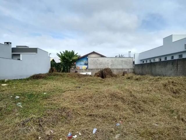 Terreno / Lote para Venda em Barra Velha/SC Quinta dos Açorianos
