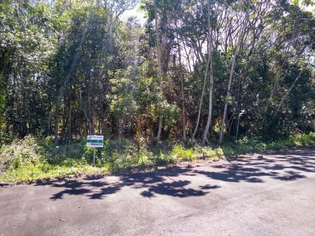 Terreno / Lote para Venda em Barra Velha/SC Quinta dos Açorianos