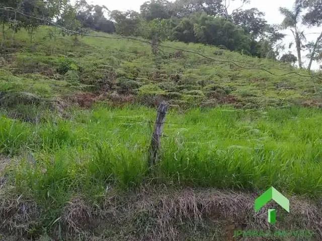 Terreno / Lote para Venda em Barra do Piraí/RJ Ipiabas