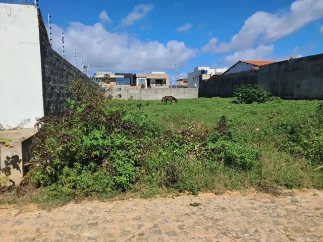 Terreno / Lote para Venda em Barra dos Coqueiros/SE Olhos D'água