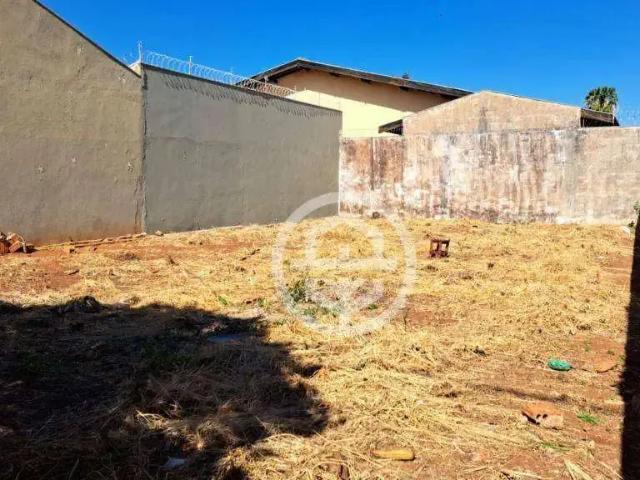 Terreno / Lote para Venda em Barretos/SP Celina