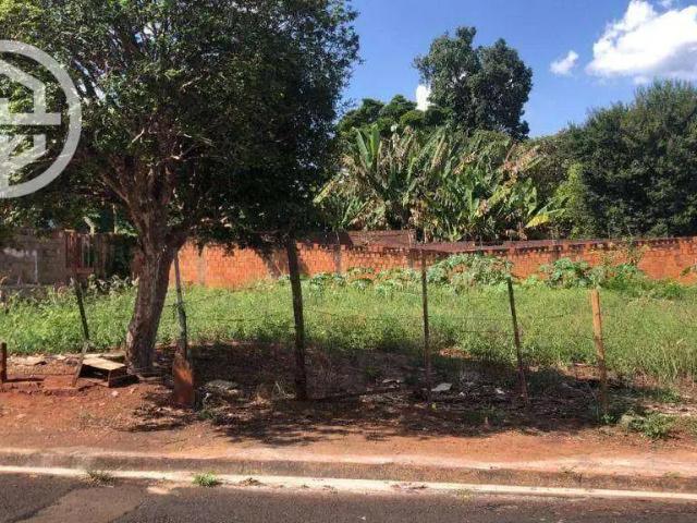 Terreno / Lote para Venda em Barretos/SP Centro