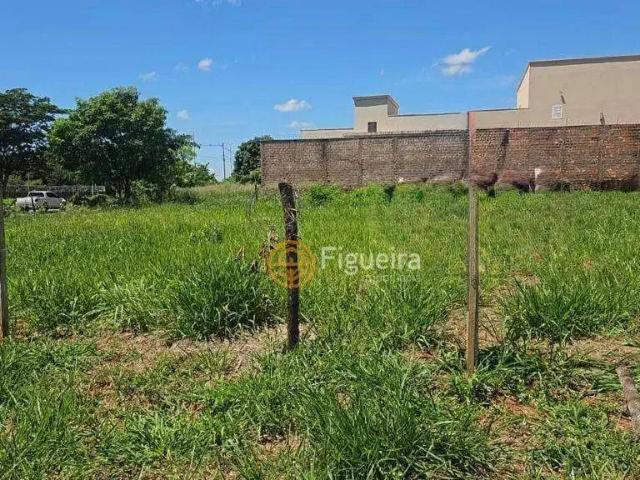 Terreno / Lote para Venda em Barretos/SP City Barretos